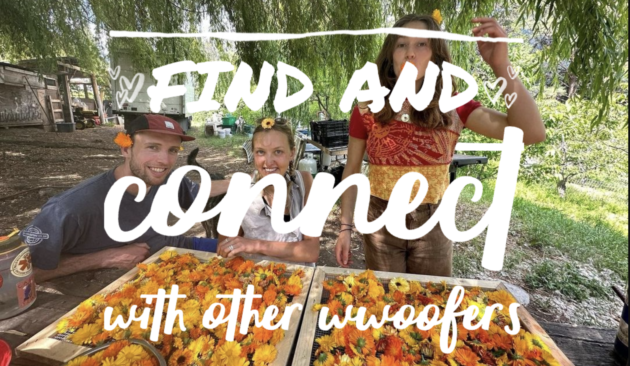 Find and Connect with Other WWOOFers through the new WWOOFer List ...