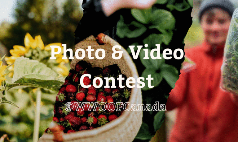 Live and Learn on Organic Farms - WWOOF Canada
